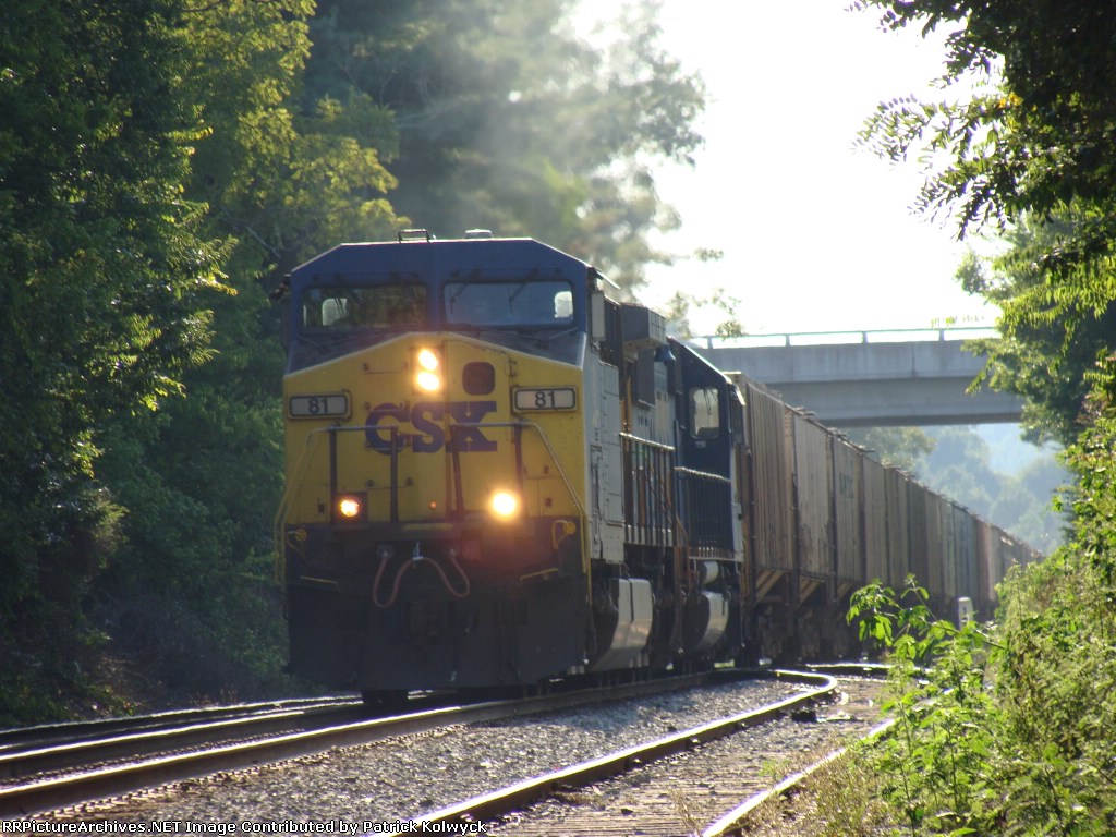 CSX 81